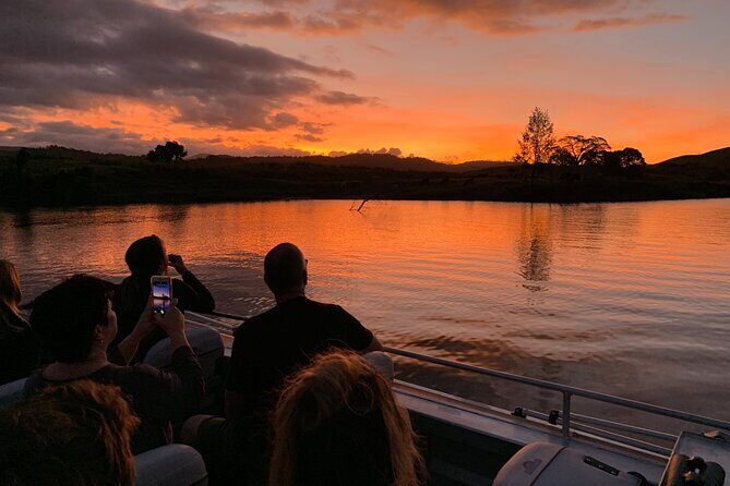 Daintree River 'Sunset' Cruise with the Daintree Boatman - An Overview of the Experience