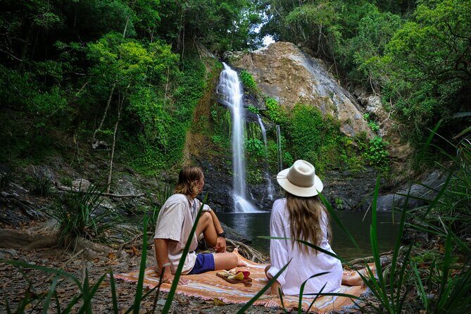 Daintree Sensations - Introduction