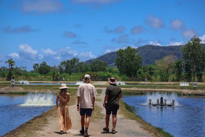 Daintree Sensations - FAQ