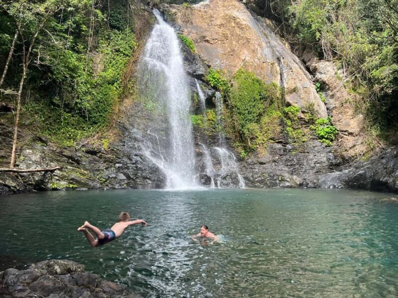 Daintree waters tour, all terrain vehicles and light lunch. - Introduction