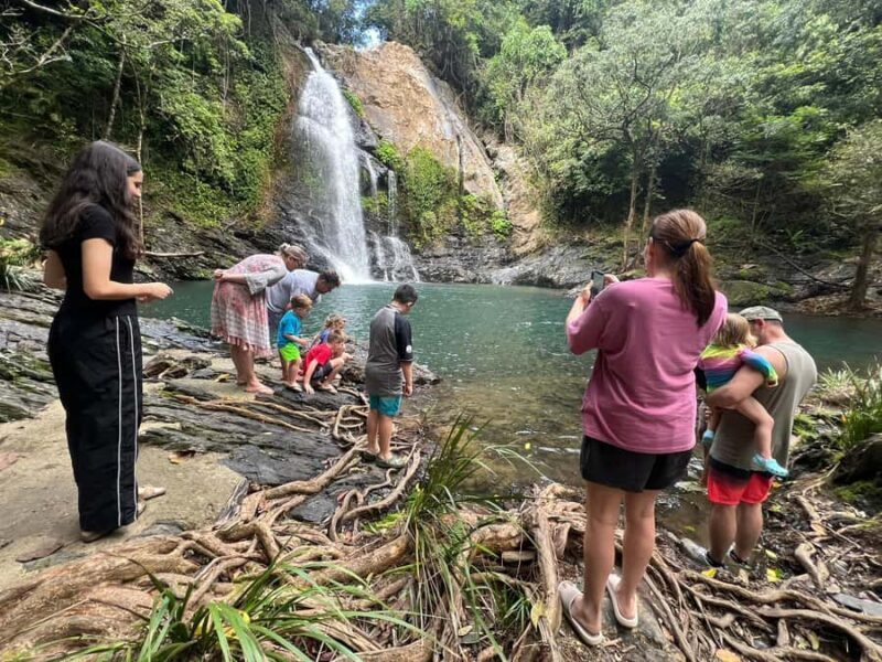 Daintree waters tour, all terrain vehicles and light lunch. - Exploring the Daintree Waters Tour: An Authentic Adventure in Tropical North Queensland