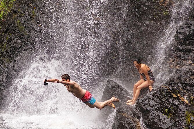Daintree Waters Tour - Value for Money: What You Get