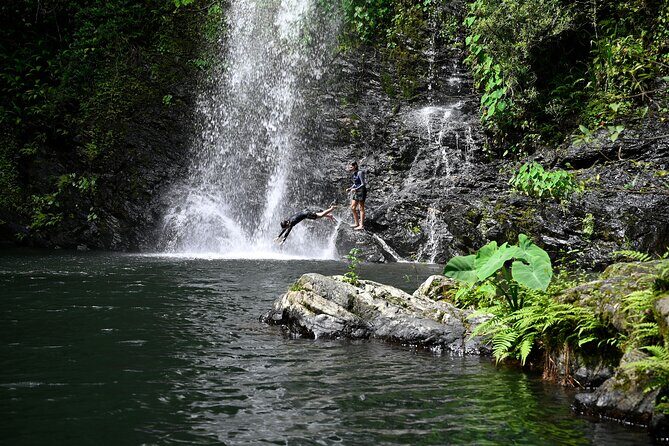 Daintree Waters Tour - The Sum Up: Who Should Consider This Tour?