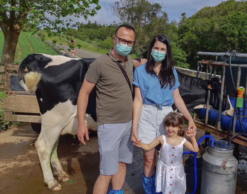 Dairy farm Visit and Cow Milking Experience in Azores - How Good is the Value?