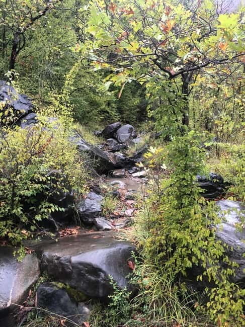 Dajti Cable Car and Shengjergj Waterfall Tour with Lunch - An In-Depth Look at the Tour