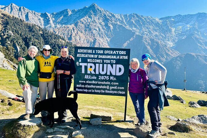 Dalai Lama Himalayan Trek - Returning to Civilisation: McLeod Ganj and Dharamsala