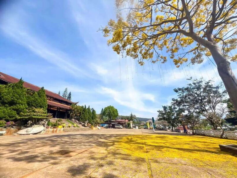 Dalat: 3 Waterfalls Day Tour Datanla, Pongour & Elephant - The Detailed Itinerary — What to Expect at Each Stop