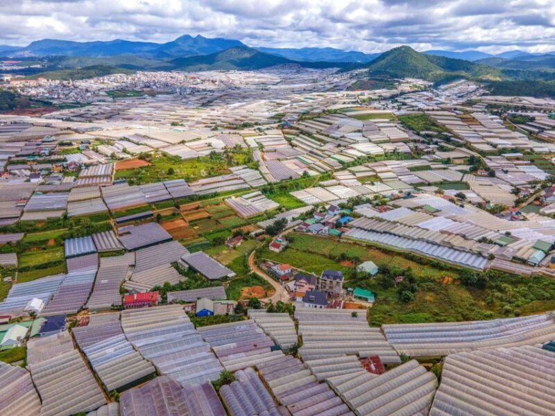 Dalat: Best of the Countryside Tour in a Private Car - Key Points