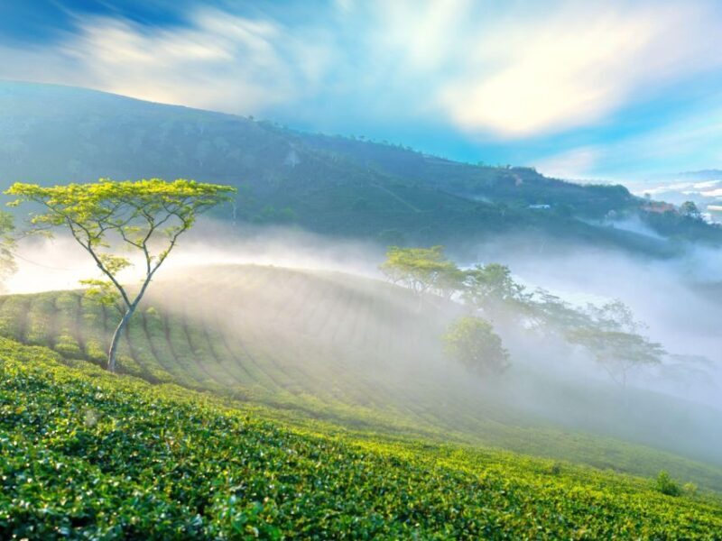 Dalat: Best of the Countryside Tour in a Private Car - Final Thoughts