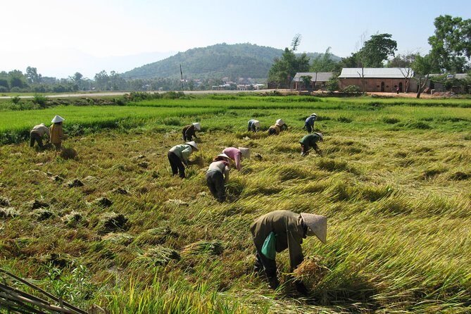 Dalat - Central Highland - Nha Trang - A Closer Look at the Itinerary