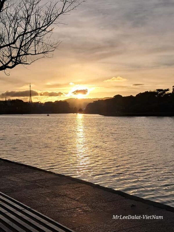 Dalat city tour by private car Combined train trip, Ziplines - Key Points