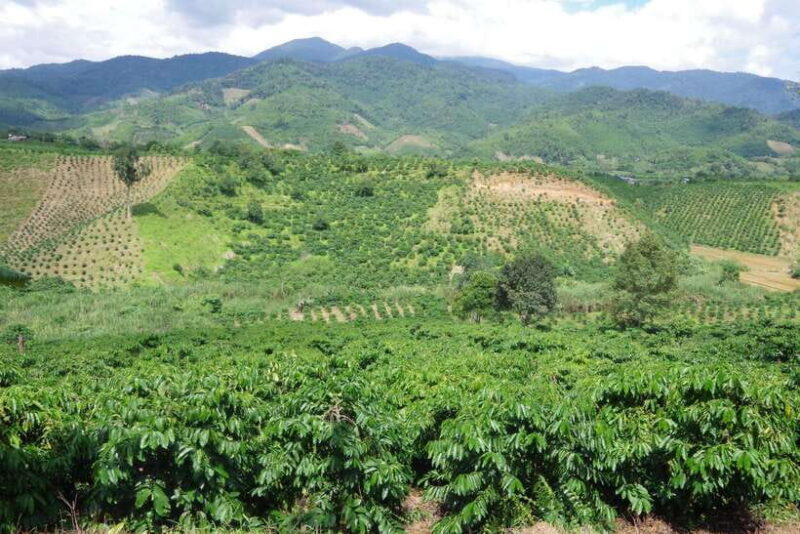 Dalat Countryside Motorbike Tour - Full day Easy Rider Tour - Final Thoughts