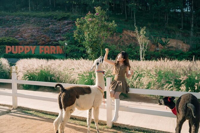 Dalat Countryside Tour $ Elephant falls - Final Thoughts