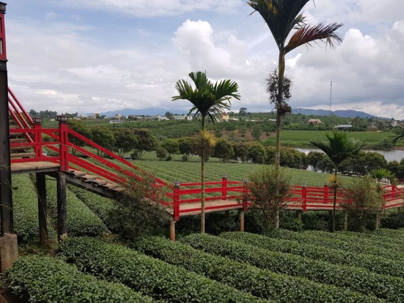 Dalat: Countryside Tour with Silk Village & Elephant Falls - FAQ