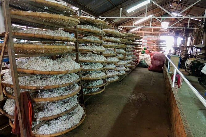 Dalat Countryside with Pongour & Elephant waterfalls tour - 1Day - The Experience of a Guided Day in Da Lat