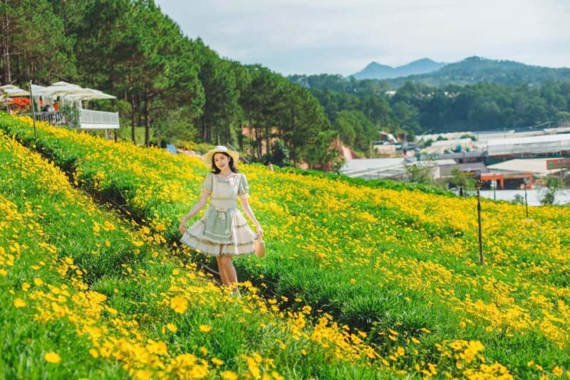 Dalat: Fun and Farm Experience with Local Guide - Practical Details and What to Expect