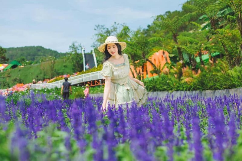 Dalat: Fun and Farm Experience with Local Guide - The Sum Up