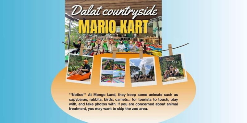 Dalat Mario Kart - Mongo Land - Countryside Small Group Tour - What Makes This Tour Stand Out?
