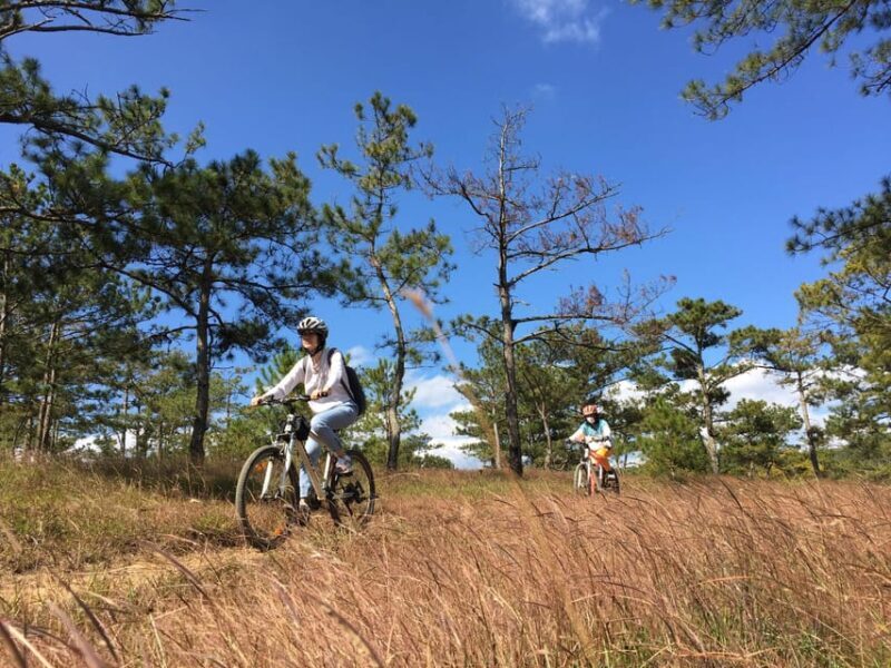 Dalat mountain biking tour - An In-Depth Look at the Dalat Mountain Biking Experience