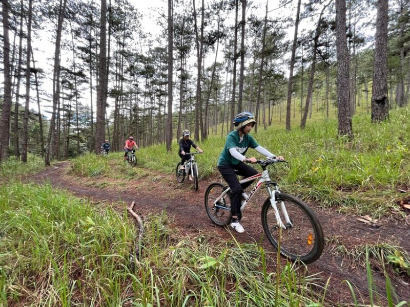 Dalat mountain biking tour - Practical Tips for Participants