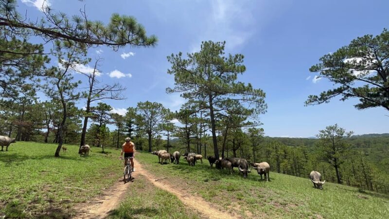 Dalat mountain biking tour - The Bottom Line: Is It Worth It?