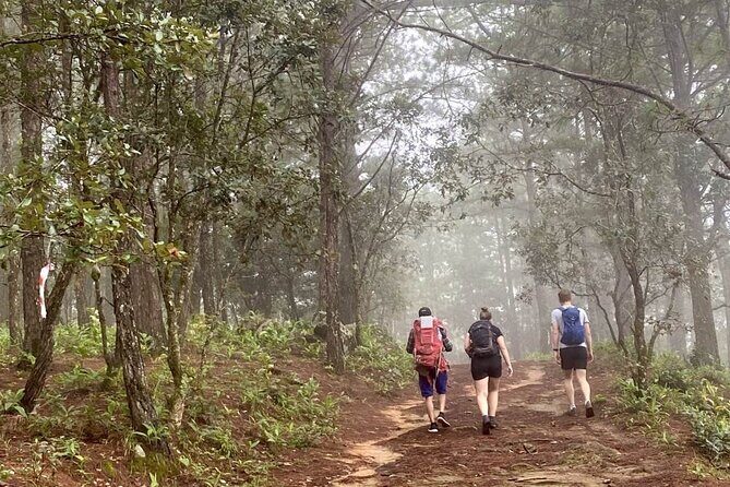 Dalat Pinhatt Peak Jungle Trek and Tuyen Lam Lake - Discover the Dalat Pinhatt Peak Jungle Trek and Tuyen Lam Lake
