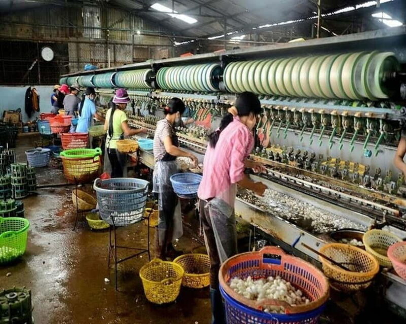 Dalat: Private Tour with Elephant Waterfall and Pagoda - Key Points