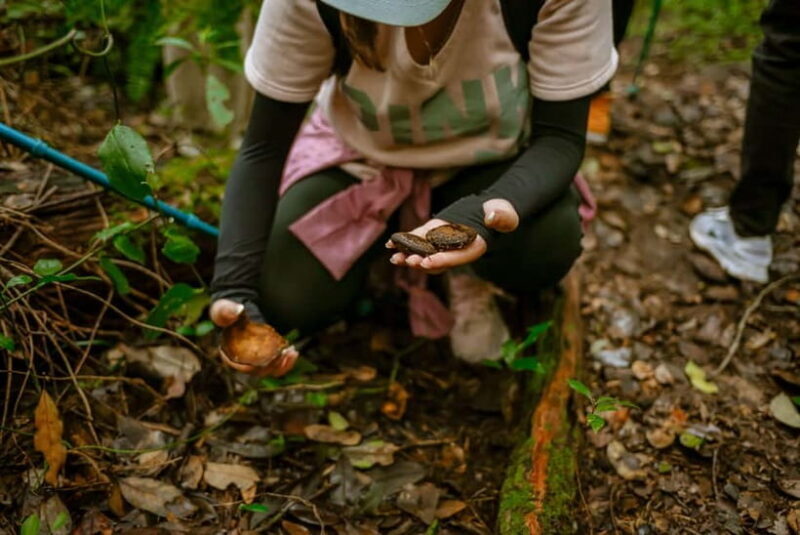 Dalat: Qung Tha Village Hiking & Tuyen Lam Lake BBQ Lunch - FAQ