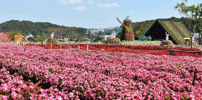 Dalat: Sightseeing and Waterfalls Tour - Key Points