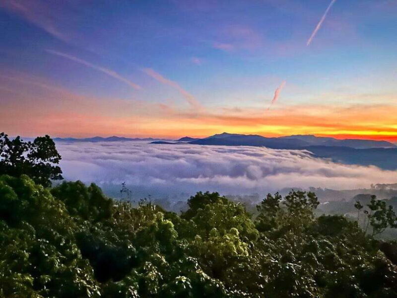 DaLat: Sunrise, Clouds, Peaceful Mornings from 4:00 to 10:00 - What to Expect from the Tour