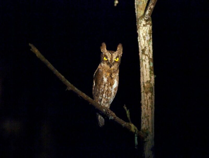 Dalat to Cat Tien National Park & Saigon (3 Days) - Inclusion & Value: What’s Covered & What Isn’t