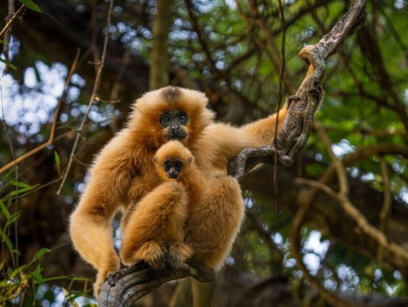 Dalat to Cat Tien National Park & Saigon (3 Days) - Authentic Experiences and Genuine Insights