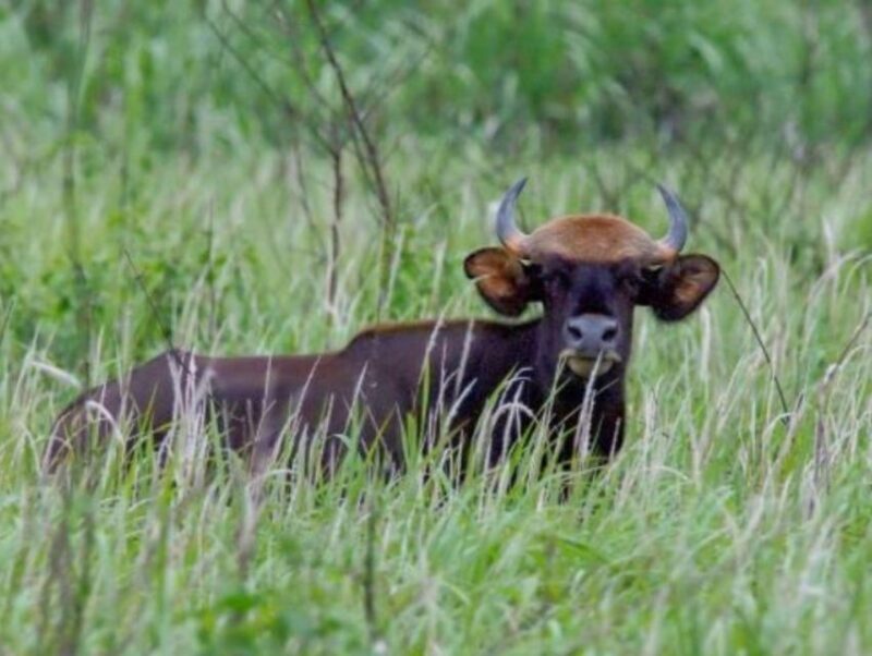 Dalat to Cat Tien National Park & Saigon (3 Days) - The Sum Up