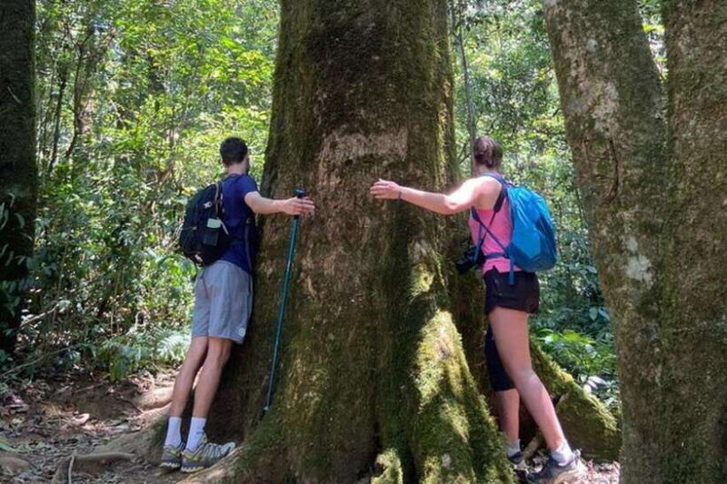 DaLat: Trek on Langbiang Mountain - Key Points