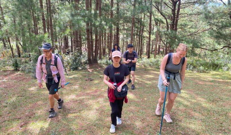 DaLat: Trek on Langbiang Mountain - Final Thoughts