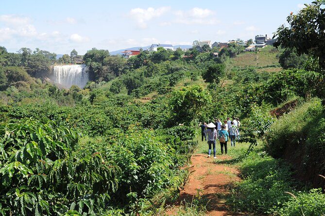 Dalat's countryside|Coffee Plantations Tour beyond Elephant falls - A Closer Look at the Tour Experience