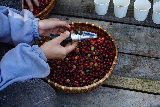 Dalat's countryside|Coffee Plantations Tour beyond Elephant falls - Final Thoughts