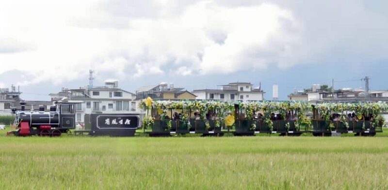 Dali: Chongsheng Temple, Xizhou, & Erhai Lake 1 Day Tour - The Itinerary in Detail