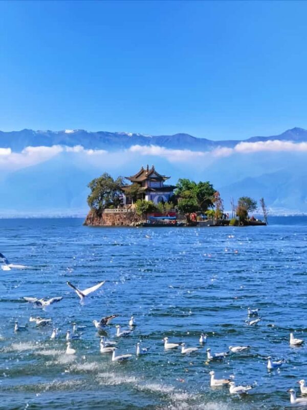 Dali Erhai Lake Scenic Loop Private Day Tour - Final Thoughts