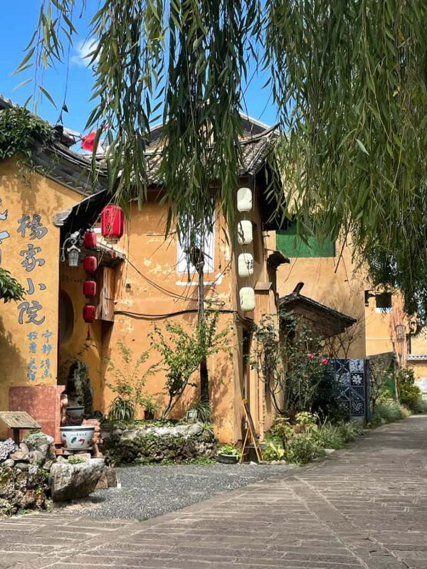 Dali: Private Guided Tour with Local Artist - FAQ