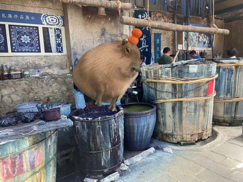 Dali: Zhoucheng Village Tie-Dyeing Experience Private Tour - In The Sum Up