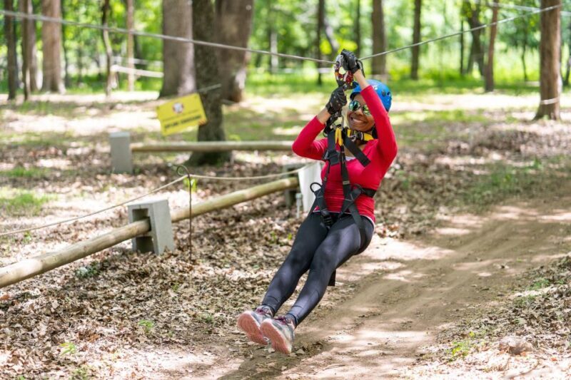 Dallas: Aerial Adventure Course Park Pass - Key Points