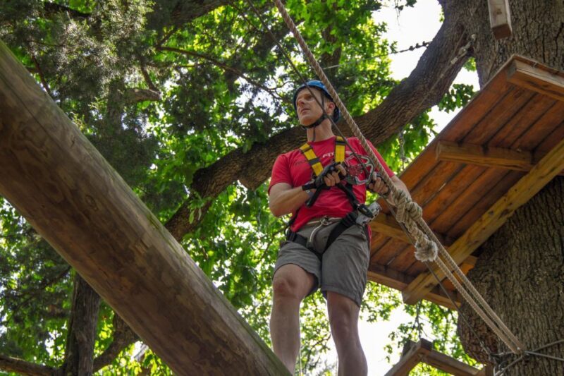 Dallas: Aerial Adventure Course Park Pass - A Closer Look at the Trinity Forest Adventure Park Experience