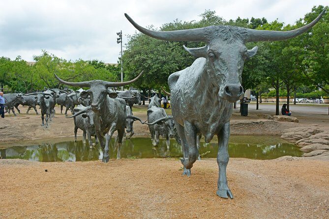 Dallas and JFK Cruizer Tour - FAQs