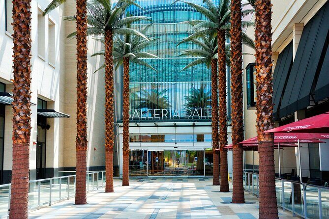 Dallas Best of Shopping Malls in the Luxury Private Limousine - Practical Tips for Your Shopping Day