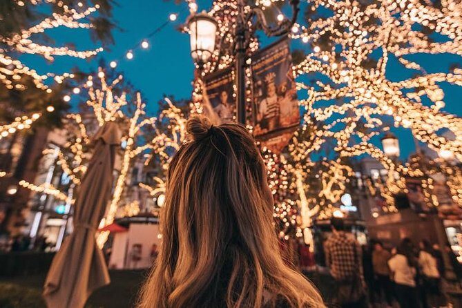 Dallas Christmas Lights Tour - A Closer Look at the Dallas Christmas Lights Tour