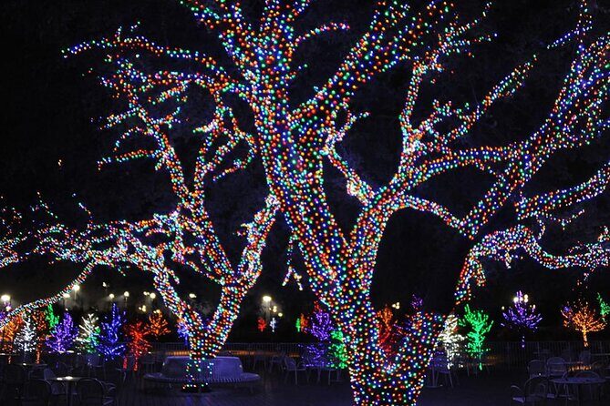 Dallas Christmas Lights Tour - FAQ