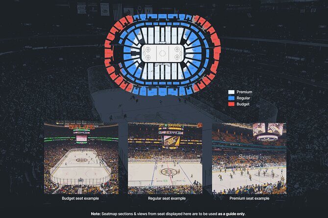 Dallas Stars Ice Hockey Game Ticket at American Airlines Center - Practical Tips for Your Game Night
