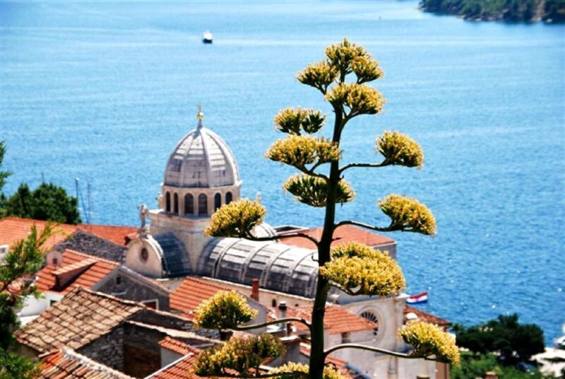 Dalmatian Delights: Food & Wine Tour from Split or Trogir - A Closer Look at the Itinerary