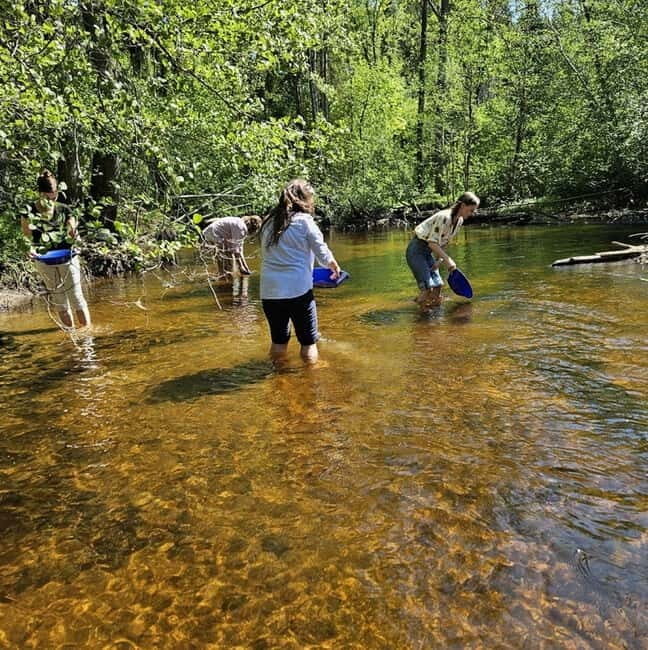 Dals Långed: Gold Panning Experience - Key Points